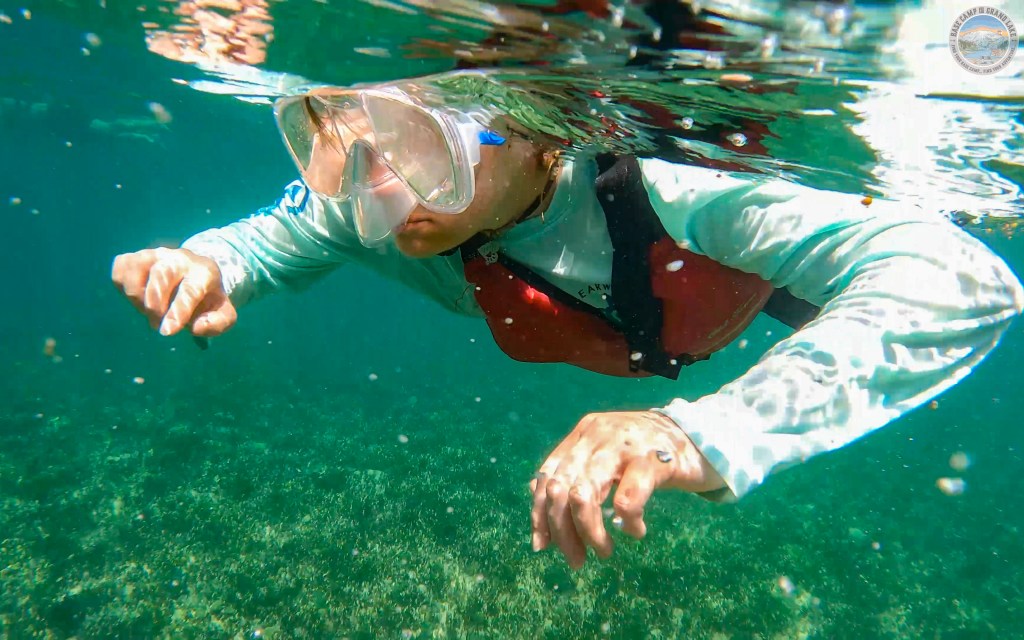 Bairuifu Dry Top Foldable Snorkel Mask - Paddle & Trails